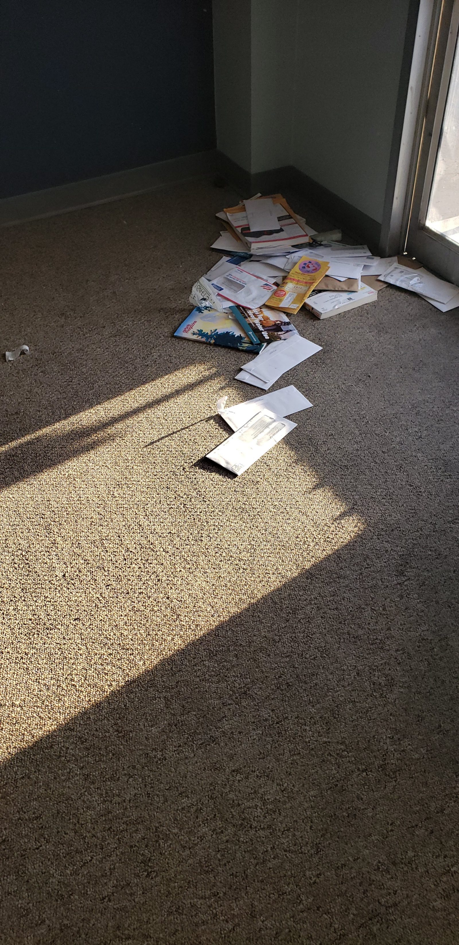 Our Work - AA Immaculate Cleaning